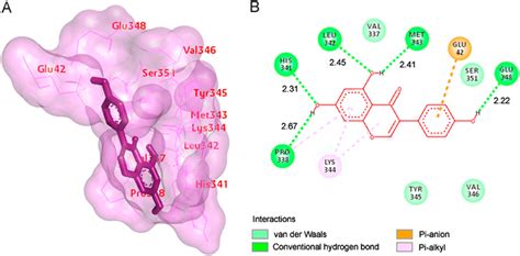 A The Output Of Autodock Showing The Binding Site Residues Of Mct8 Download Scientific
