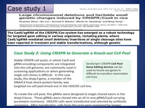 Crisprcas9 The Gene Editing Tool Pptx Programming Languages
