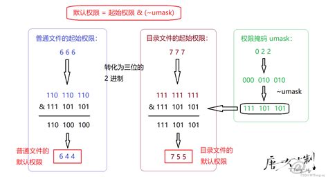 Linux File Chownchgrp Chmod