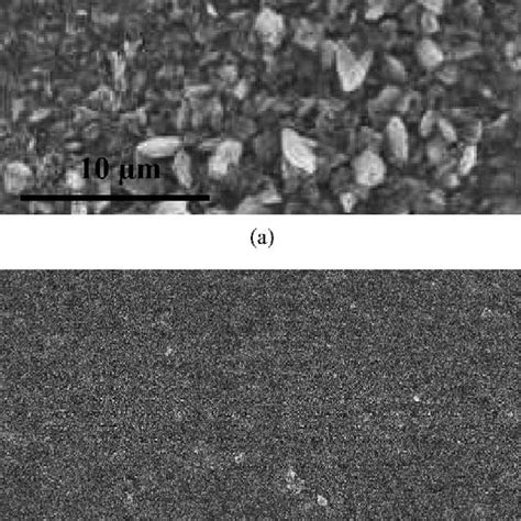 Sem Cross Section Image Of The Oxide Layer After 24 H In Air Under