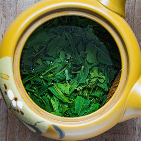 Mastering Sencha Brewing Temperature Tezumi