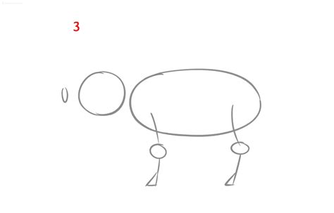 Pig Drawing Ideas How To Draw A Pig Step By Step