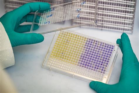 Effect Based Water Quality Measurements With Bioassays Kwr