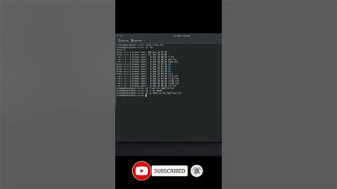 Linux Cli 6b 🐧 Copy Files And Directories Linux Shell Cli Konsole Ubuntu Fedora Opensuse