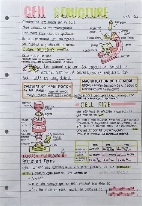 Cambridge Year 6 Science Revision Notes