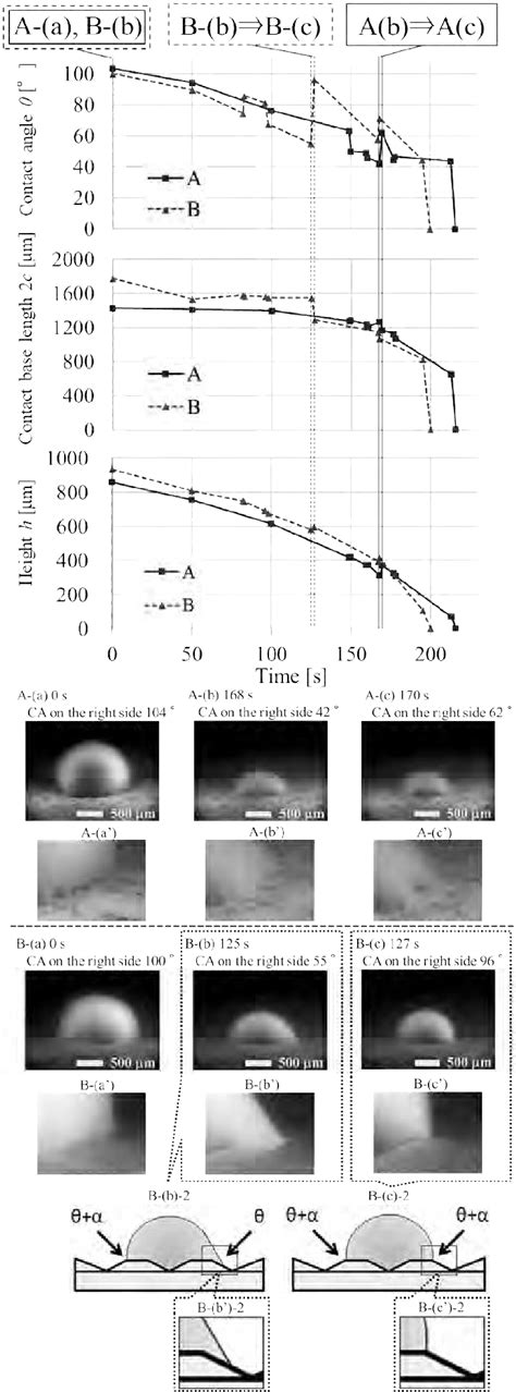 Graph Of Change In Contact Angle Contact Base Length And Height Of Download Scientific
