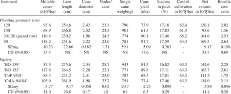 effect of planting geometry and varieties on growth yield attributing