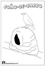 Aves Brasileiras Para Colorir Joao De Barro A Passarinhóloga