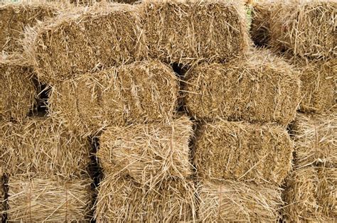 Square Hay Bales — Ginkgo Farms