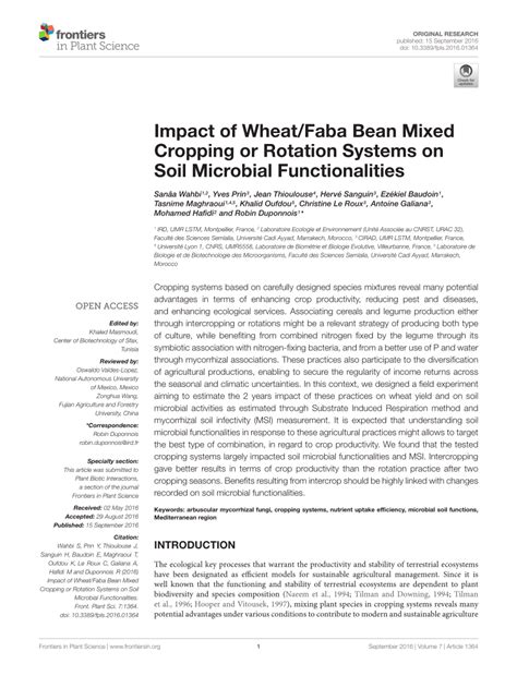Pdf Impact Of Wheatfaba Bean Mixed Cropping Or Rotation Systems On