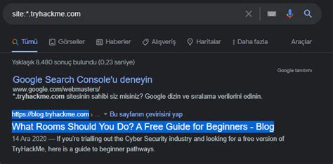Subdomain Enumeration