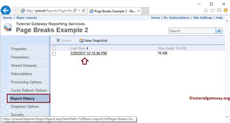 Report History Snapshot In Ssrs