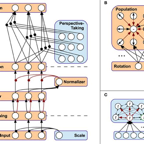 Diagram Of The 3 Stage Neural Network Model And The Processing Paths Download Scientific