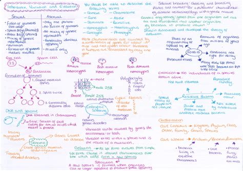 inheritance and evolution revision mat teaching resources