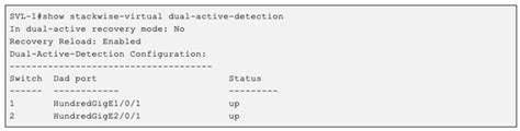 Cisco C9500 Stackwise Virtual Svl Lab