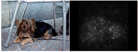 Understanding Deep Learning Networks Using Saliency Maps