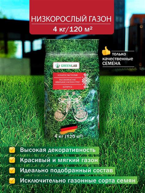 Низкорослая Газонная Трава – купить в интернет-магазине OZON по низкой цене