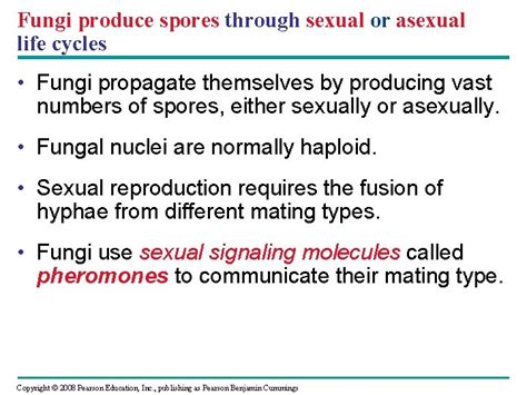 Chapter Fungi Power Point Lecture Presentations For