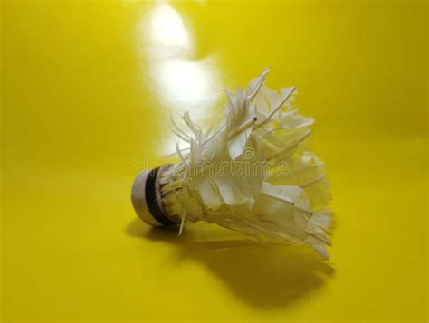 Shuttle On A Yellow Background Stock Image Image Of Leaf Wing 267552007