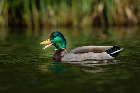 raft dive into deep learning for optical flow tds archive