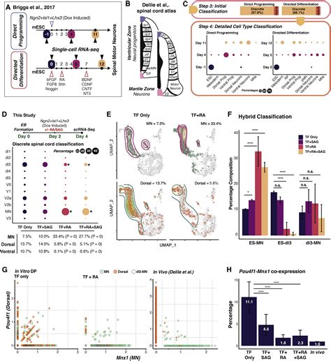 Capybara A Computational Tool To Measure Cell Identity And Fate