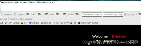 信安学习day13：sql注入报错注入和宽字节注入 sql注入报错注入宽字节 csdn博客
