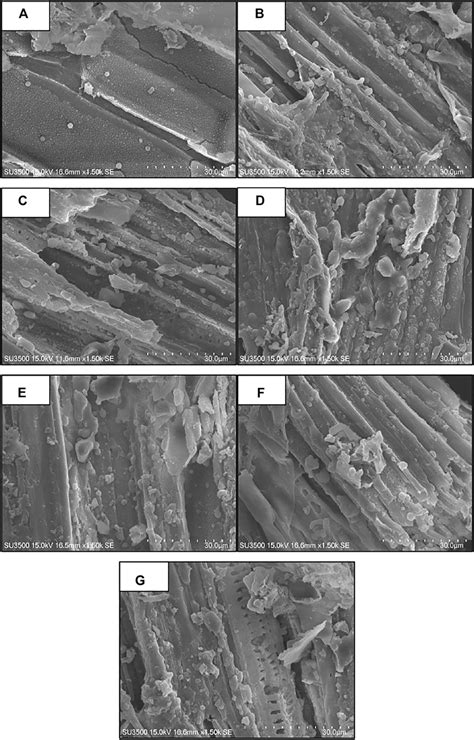 Contrast Analysis Diagrams Of Surface Microstructures Of Wheat Straw Download Scientific