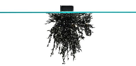 Cu Ntos Tipos De Imanes Existen