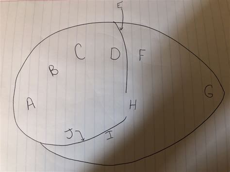 Label Cortex Diagram Quizlet