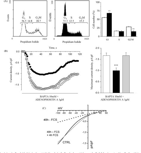 Figure 1 From Differential Roles Of Stim1 Stim2 And Orai1 In The