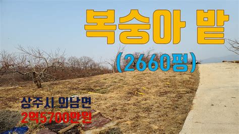 매물번호 경상북도 상주시 외남면 신상리 복숭아밭 감밭 넓은 농지중에 복숭아밭과 감밭 일부 묵전으로 되어 있음 농지안까지 넓은 길확보되어 있어 통행이 편리함