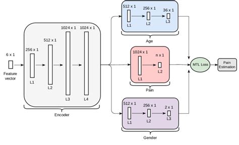 Illustration Of The Mtl Network The Output Vectors Size Of The