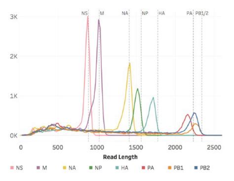 Influenza A Rna Oxford Nanopore Technologies