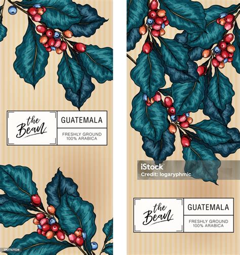 커피 세트입니다 손으로 그린 커피 분기입니다 벡터 색 새겨진 아이콘입니다 레트로 스타일의 포장 디자인 라벨 템플릿 브랜드 정체성