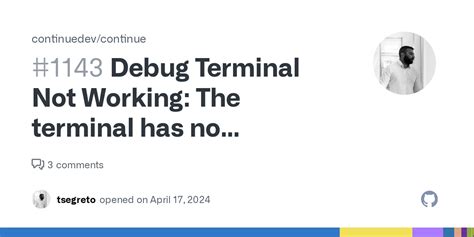Debug Terminal Not Working The Terminal Has No Selection To Copy