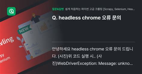 headless chrome 오류 문의 인프런 커뮤니티 질문and답변