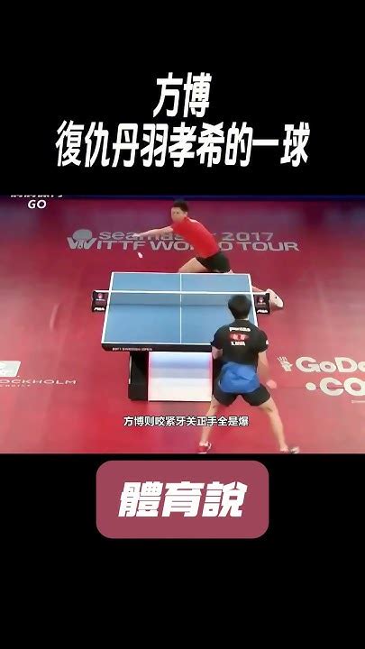 方博復仇丹羽孝希的一球兵兵球羽毛球體育 Youtube
