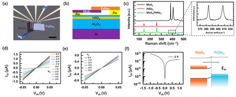 Reconfigurable Polarimetric Photodetector Based On Mos2 Pdse2 Heterostructure With Charge Trap