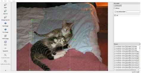 Bounding Boxes Polygons Data Labeling Categorization And