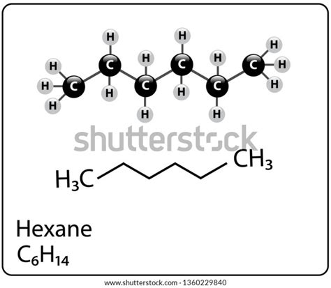 Hexane Molecule Structure Stock Vector Royalty Free 1360229840