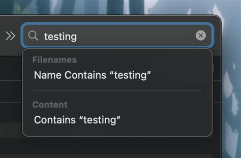 Finder Search By Name Contains R MacOS