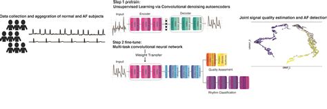 Real Time Detection Of Atrial Fibrillation Using Deep Learning