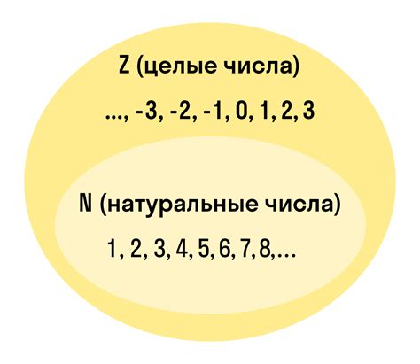 Что такое целое число? Примеры