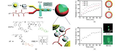 A Schematics Of The Generation Of Cb 8 Mediated Supramolecular
