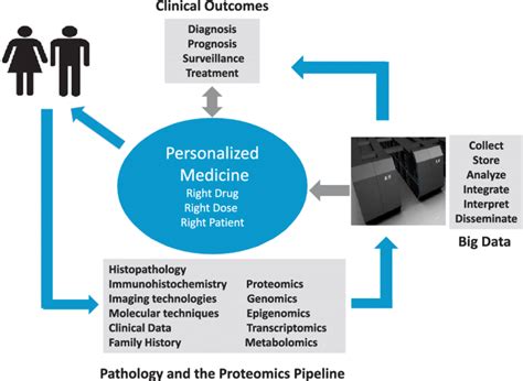 The Proteomics Pipeline And Personalized Medicine Schematic Showing Download Scientific