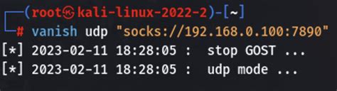 对 linux 全局代理的探索 晨星 茯苓