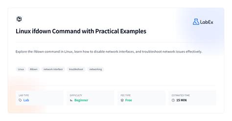 Linux Ifdown Command With Practical Examples Labex Linux Ifdown Command With Practical Examples Labex
