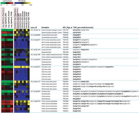 Alternatively Spliced Transcripts That Show Opposite Differential