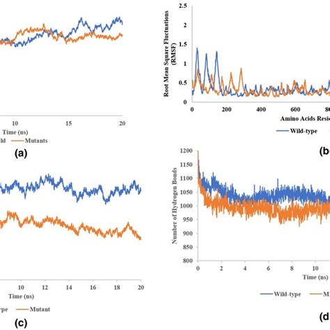 Bioinformatics Analysis Of Novel Mutation Nm0245133 Download Scientific Diagram