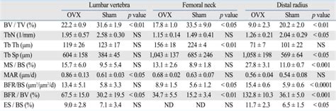 Bone Histomorphometric Analysis Of Trabecular Bone Of The Lumbar